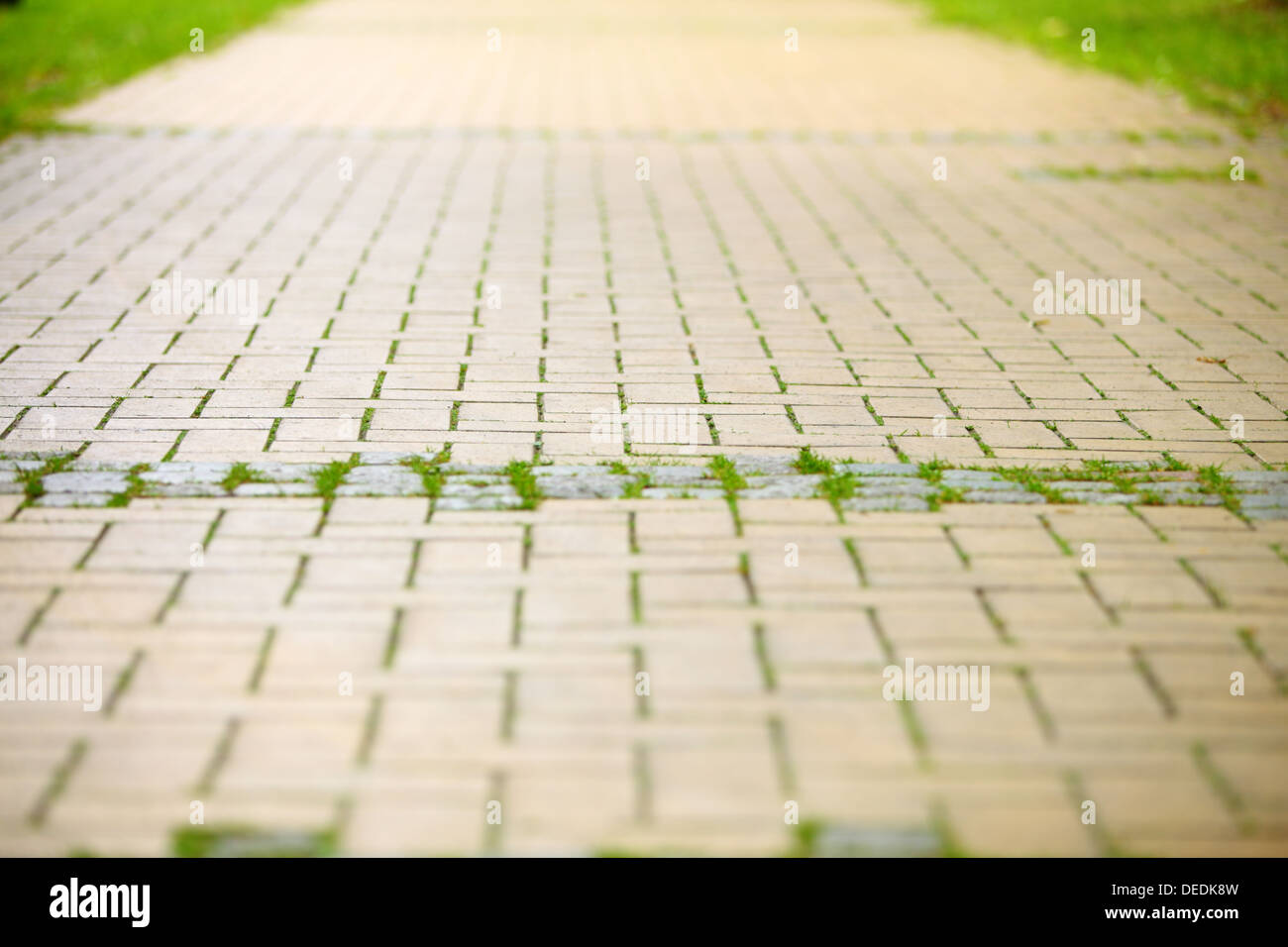 Stone road, path in park or garden as background Stock Photo - Alamy