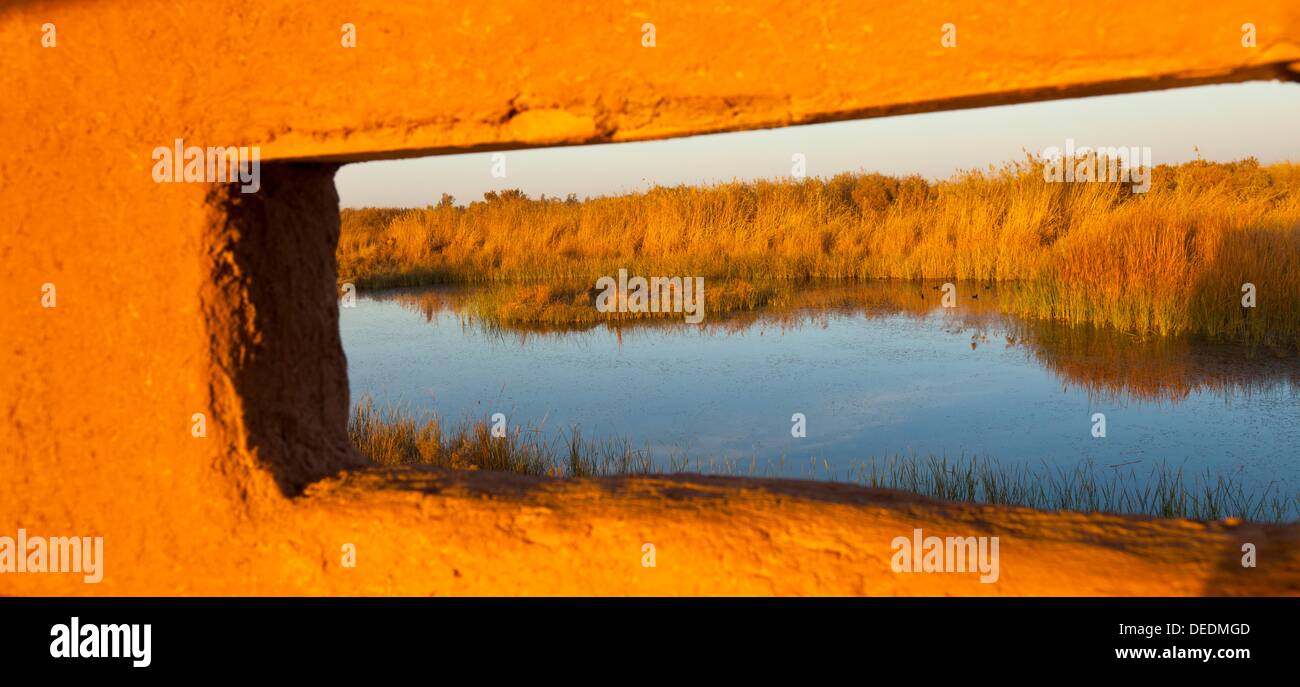 Azraq Wetlands Nature Reserve, Jordan, Middle East Stock Photo - Alamy