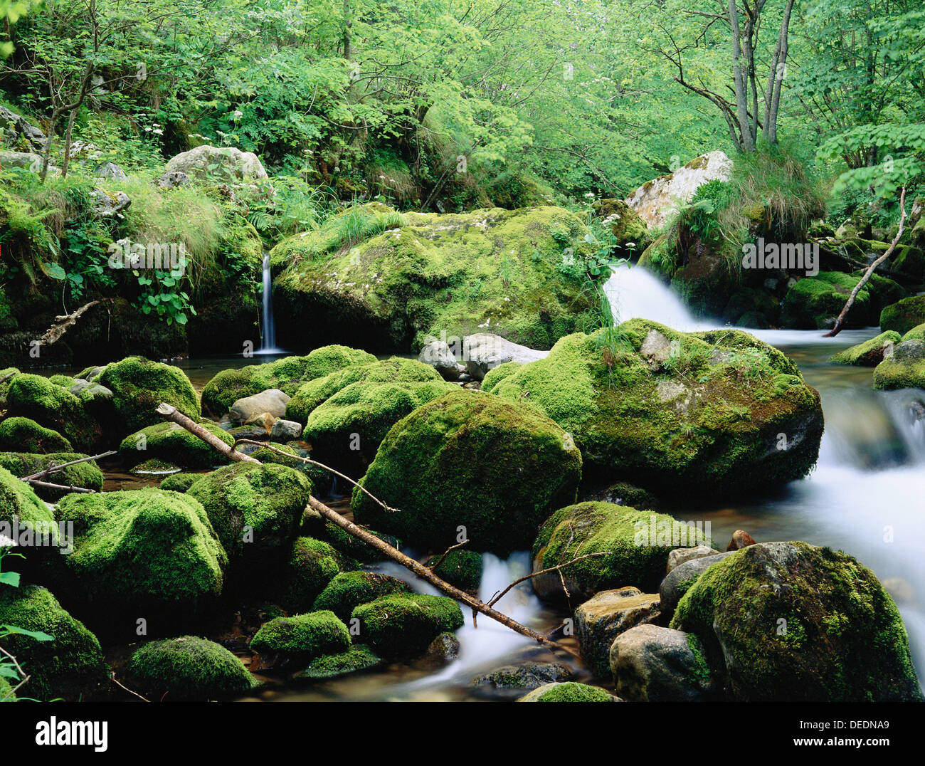 Redes national park hi-res stock photography and images - Alamy