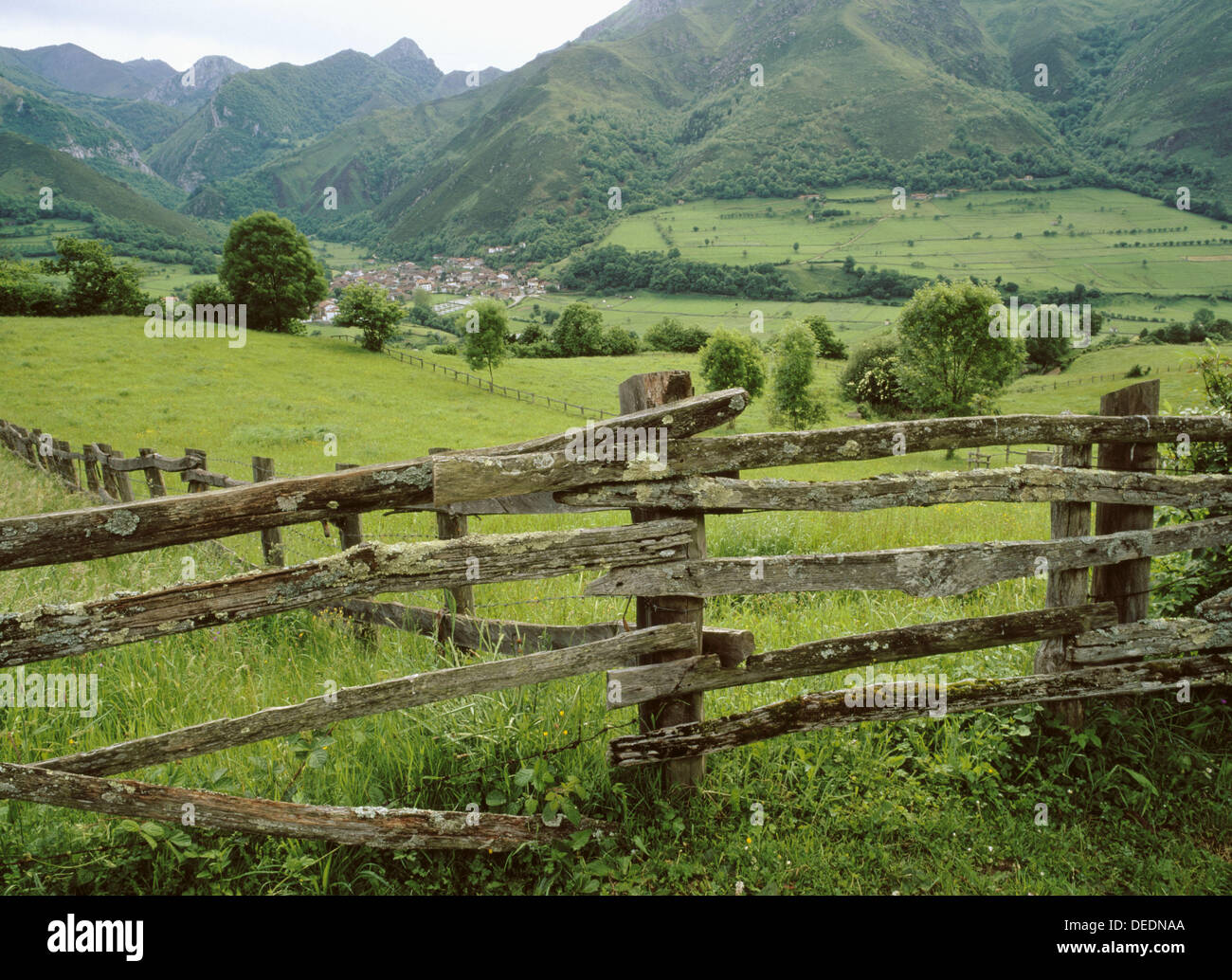 Soto de Agues. Redes National Park. Asturias. Spain Stock Photo - Alamy