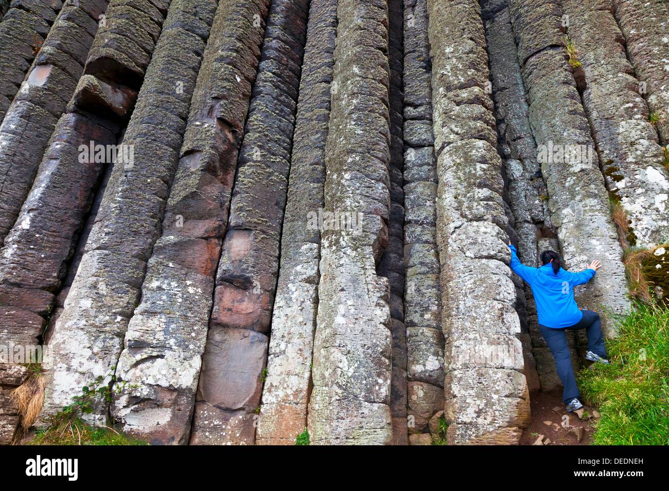 Pipe Organ Giants Causeway Northern High Resolution Stock Photography ...