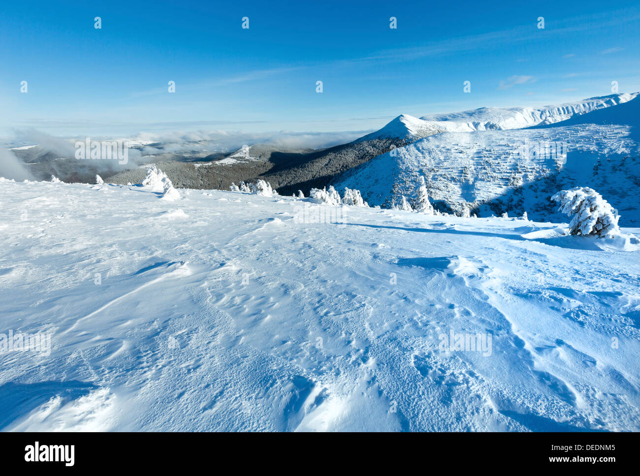 Winter mountain landscape with snowy trees on slope Stock Photo - Alamy