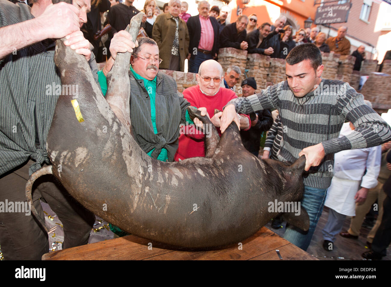 Pork Slaughter High Resolution Stock Photography and Images - Alamy