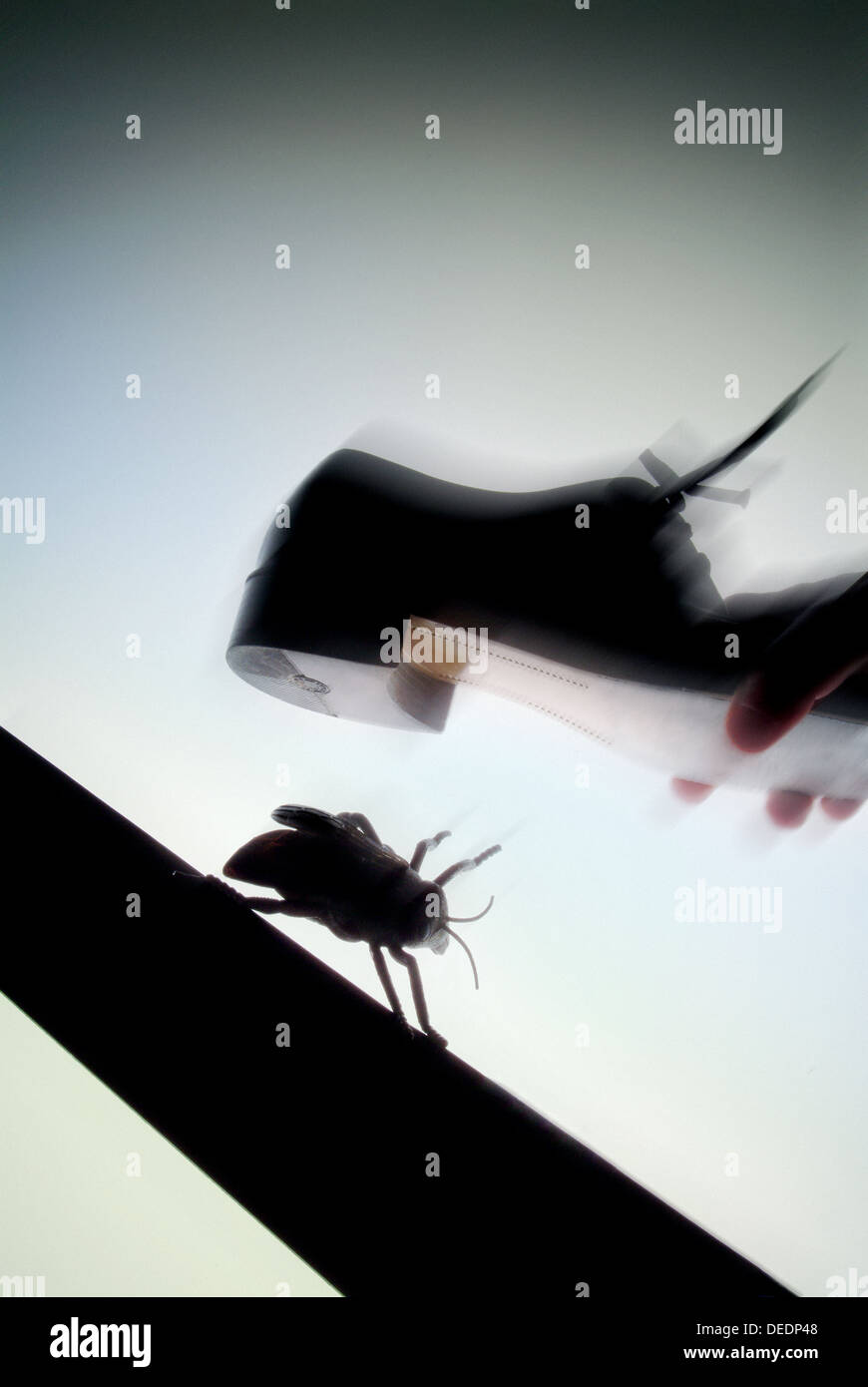 Shoe Crush Stock Photos & Shoe Crush Stock Images - Alamy