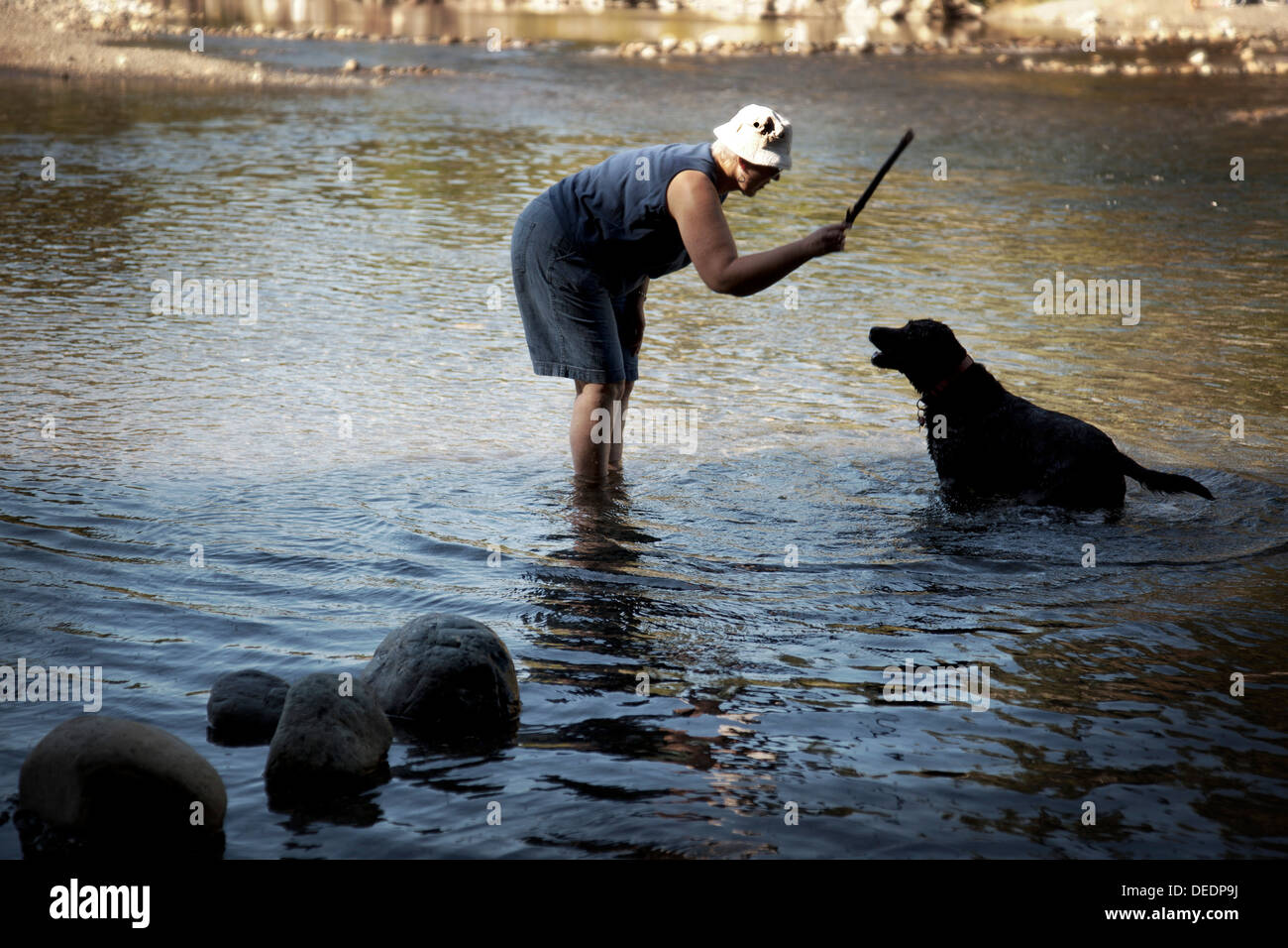 Throwing stick hi-res stock photography and images - Alamy