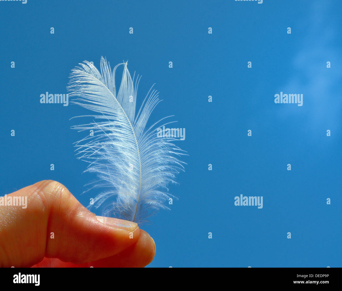 Light as a feather Stock Photo - Alamy