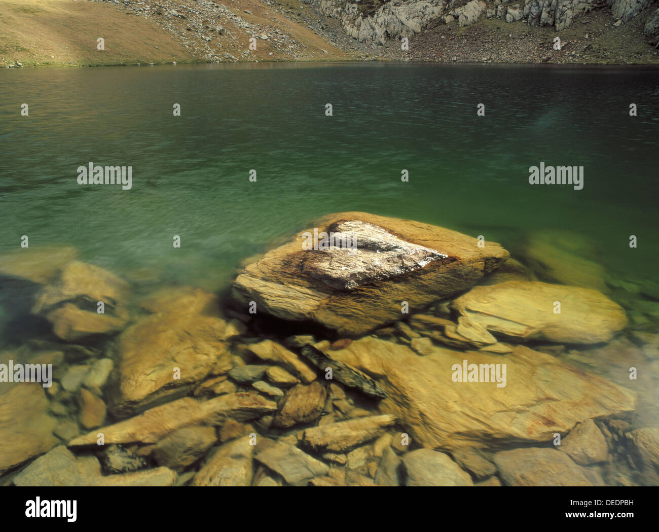 Tavascan hi-res stock photography and images - Alamy