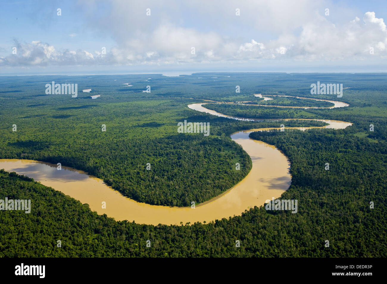 Kinabatangan river aerial hi-res stock photography and images - Alamy