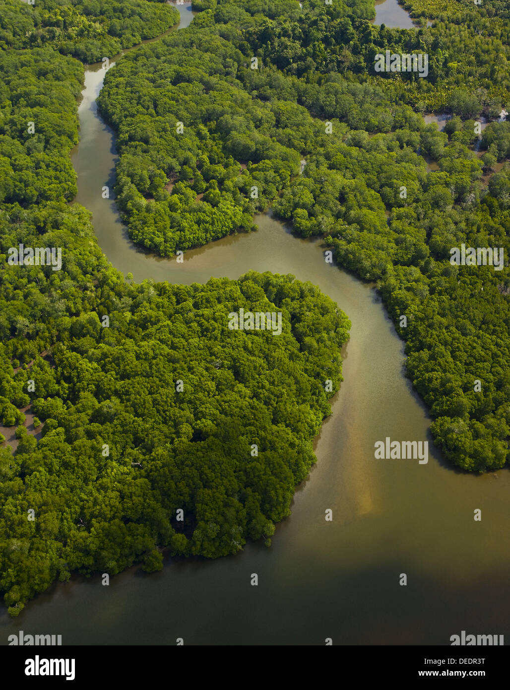 Kinabatangan river aerial hi-res stock photography and images - Alamy
