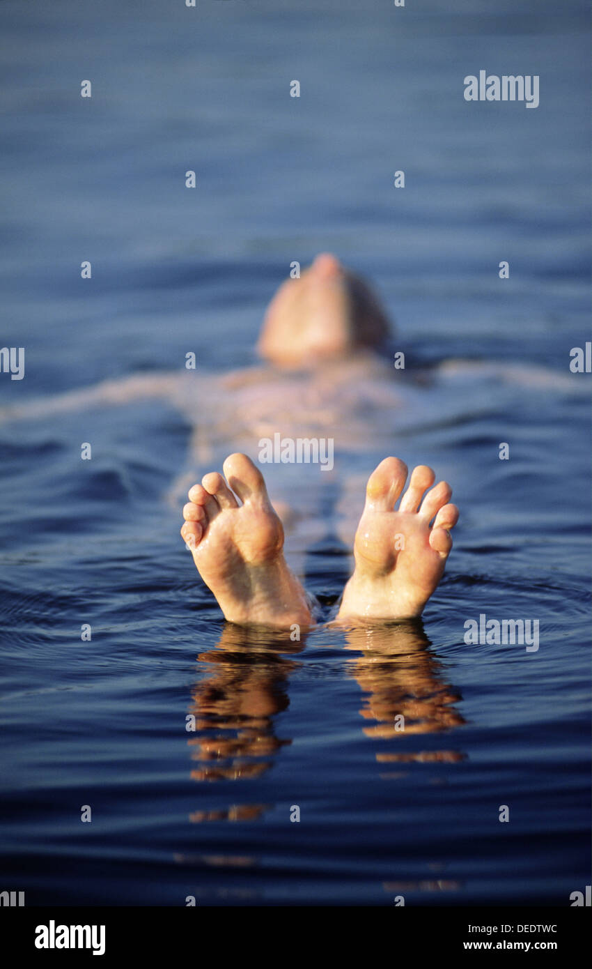 Wet sloth hi-res stock photography and images - Alamy