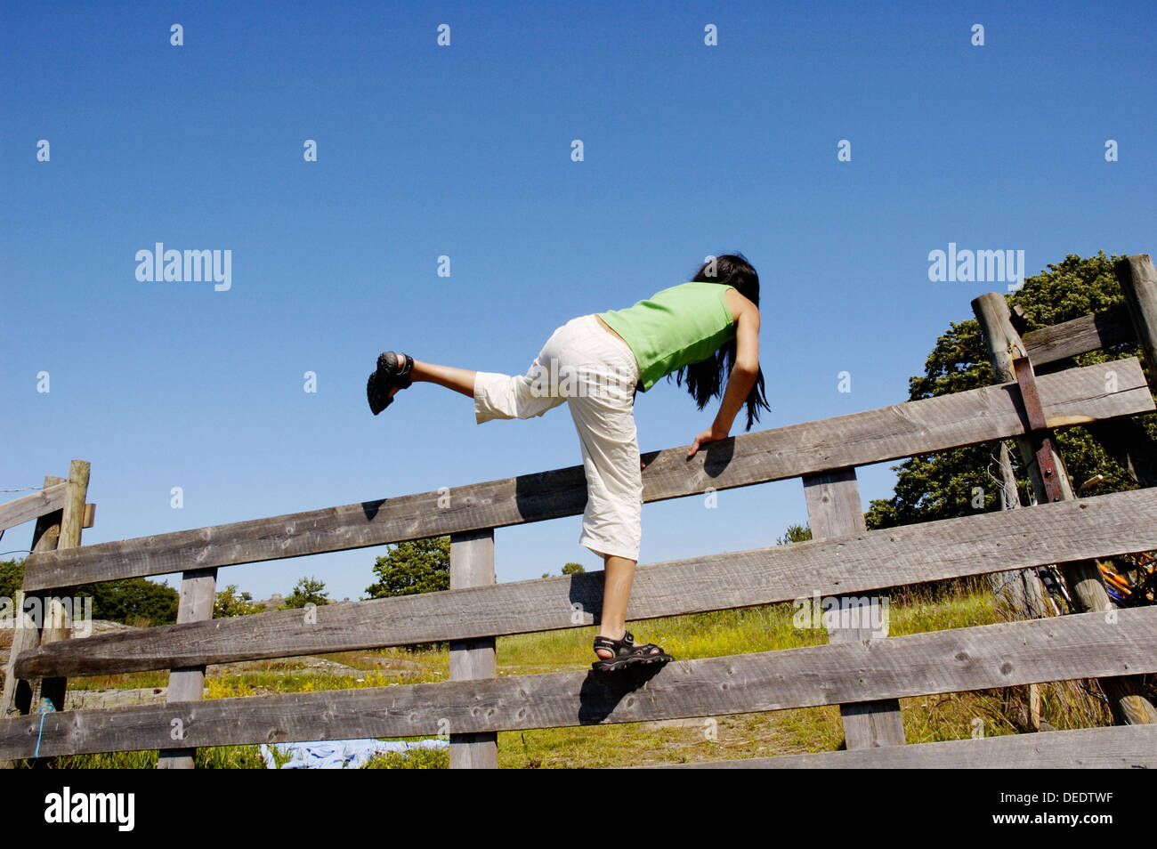 Child climb fence rear view hi-res stock photography and images - Alamy