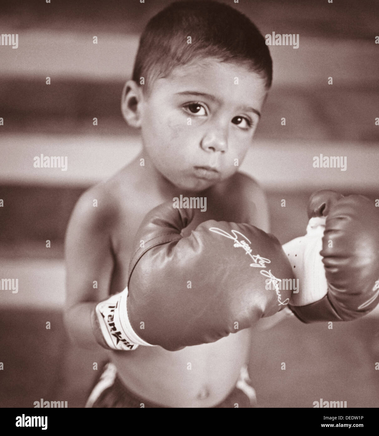 Baby boxing gloves hi-res stock photography and images - Alamy