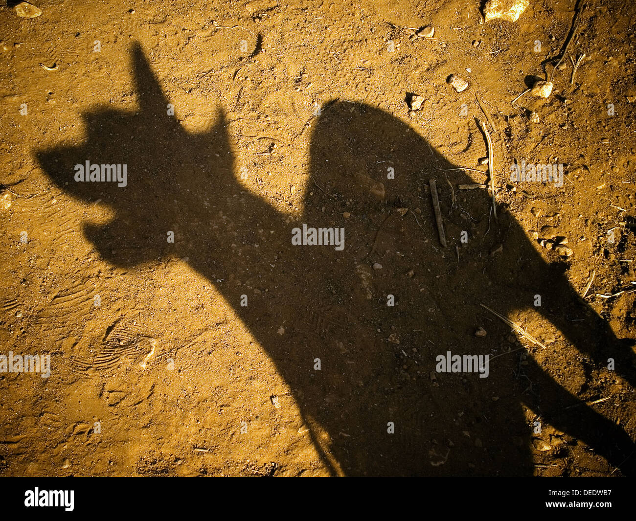 Frightening dog hi-res stock photography and images - Alamy