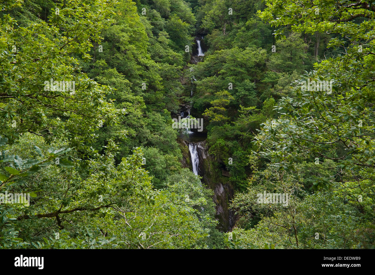 Waterfall viewed from the Nature Trail on the Jacob’s Ladder footpath ...