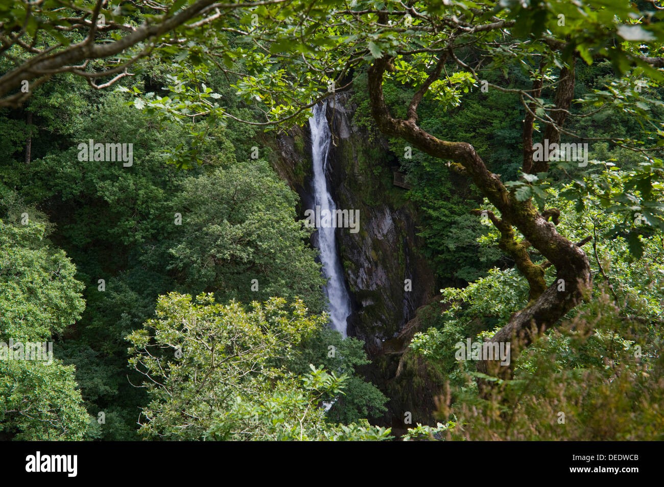 Waterfall viewed from the Nature Trail on the Jacob’s Ladder footpath ...