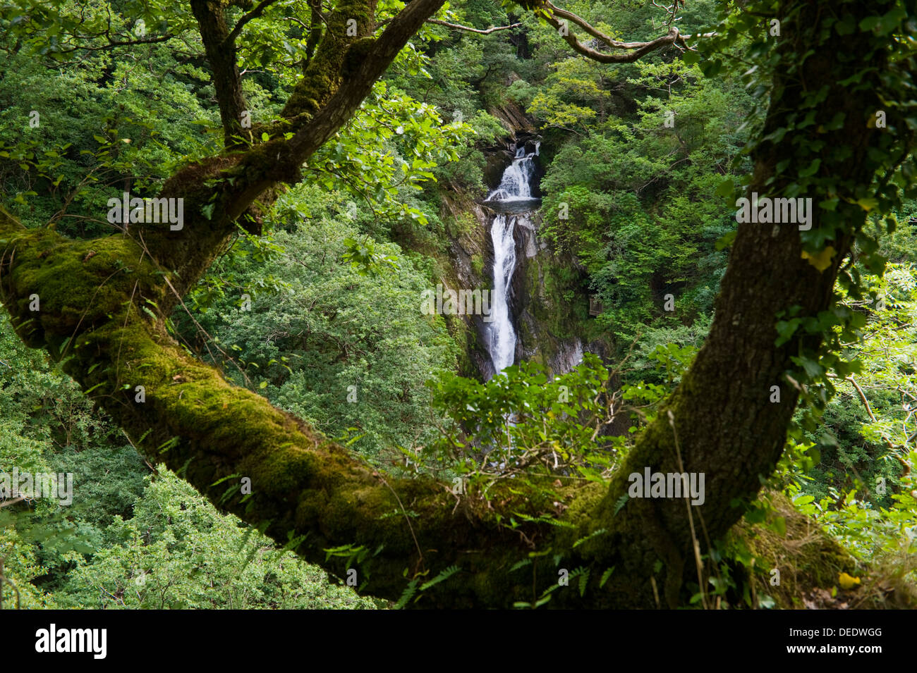 Waterfall viewed from the Nature Trail on the Jacob’s Ladder footpath ...