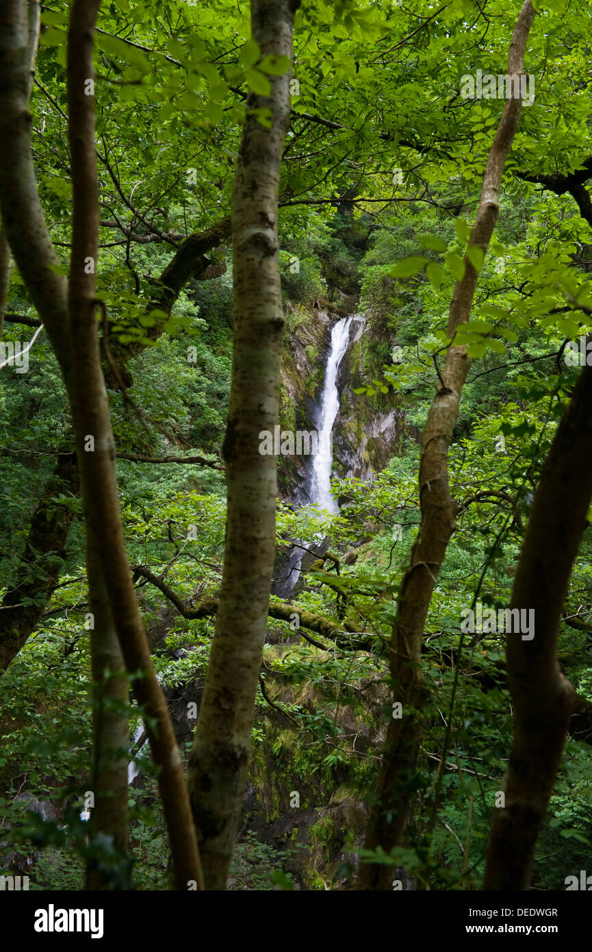 Devil’s bridge waterfall wales hi-res stock photography and images - Alamy