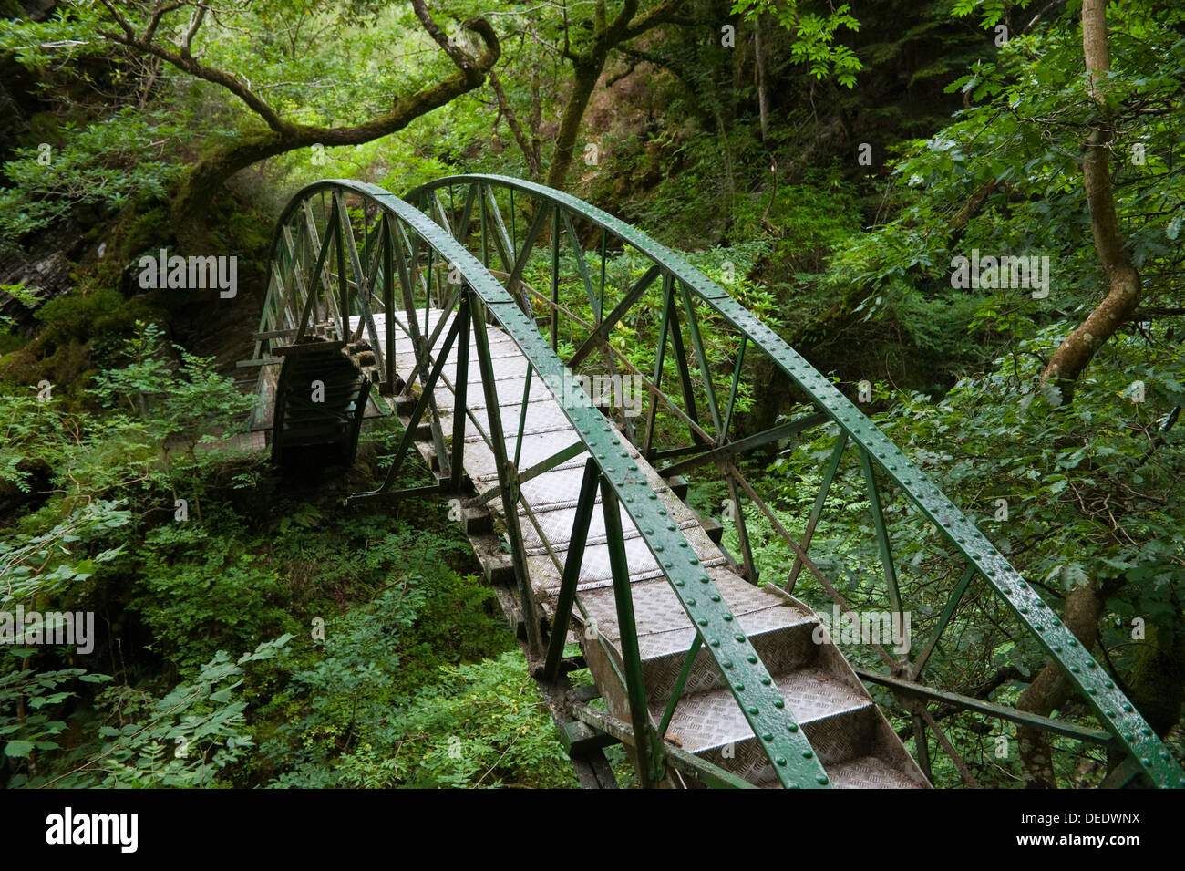 Bridge over ravine hi-res stock photography and images - Alamy