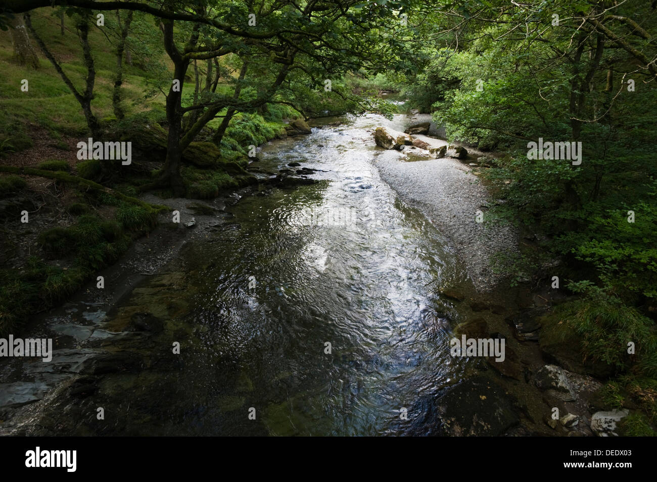 River wye riverbank powys trees hi-res stock photography and images - Alamy