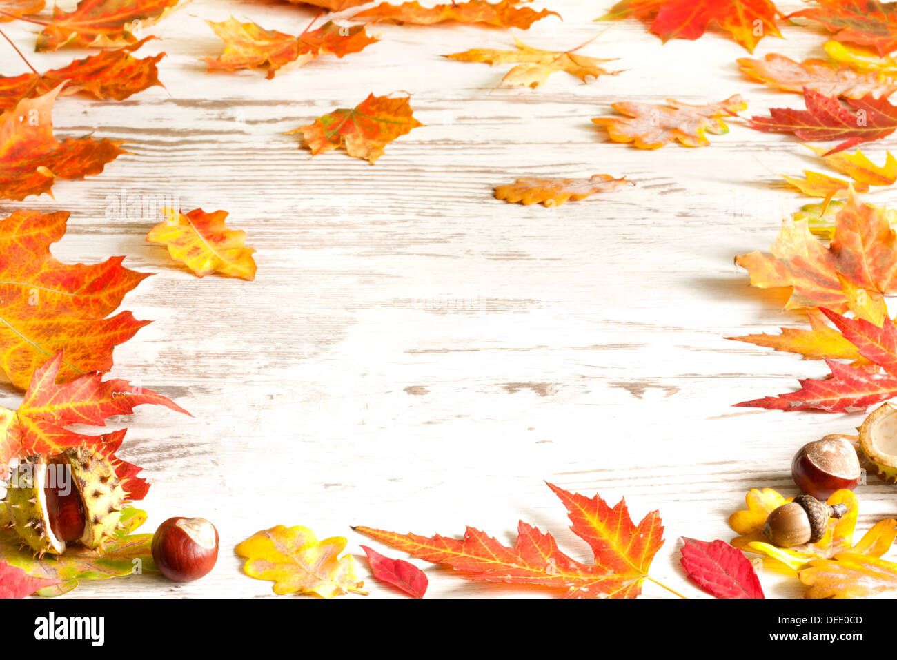 Autumn leaves on white boards background border Stock Photo - Alamy