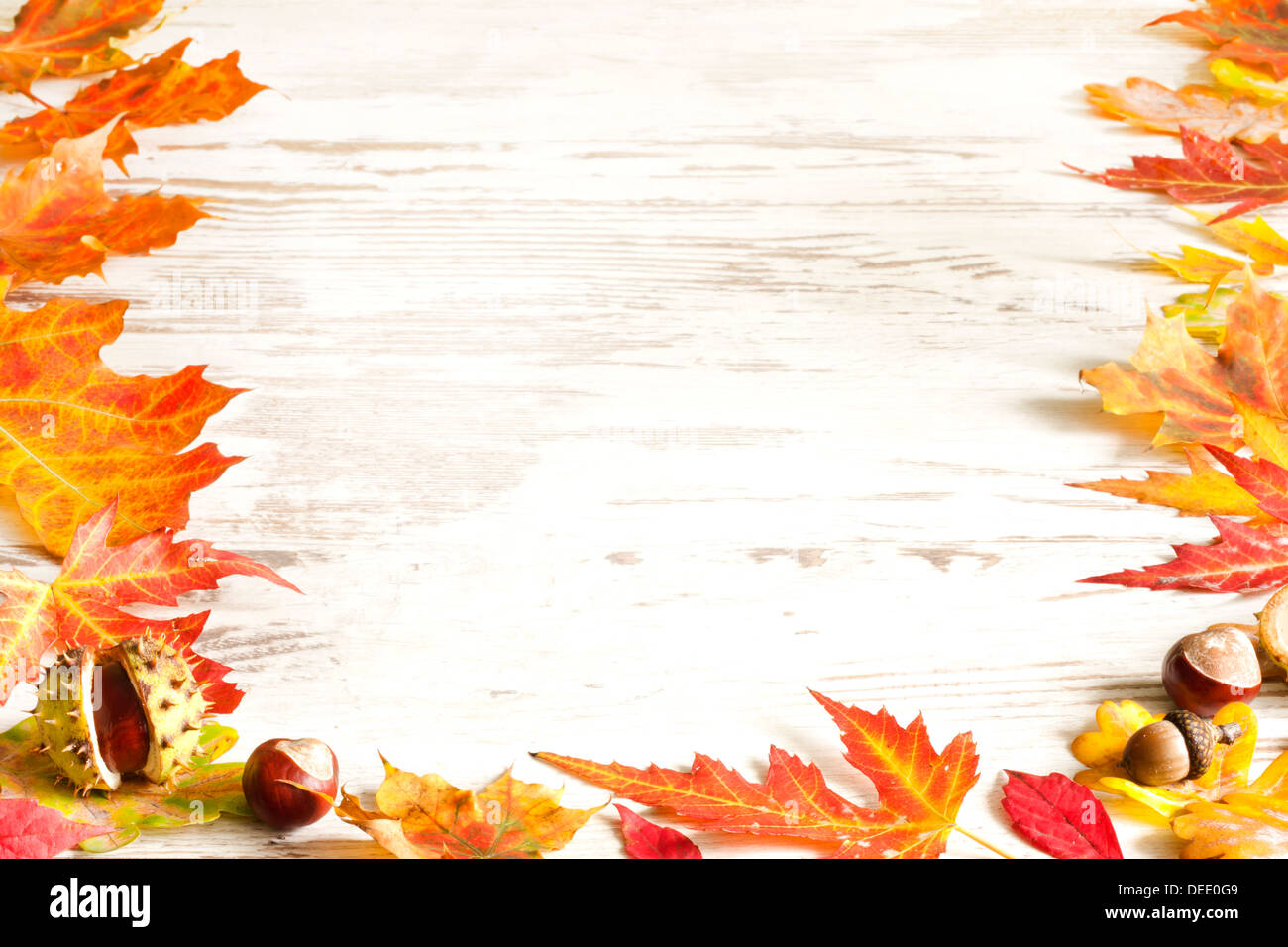 Autumn leaves on white boards background border Stock Photo - Alamy