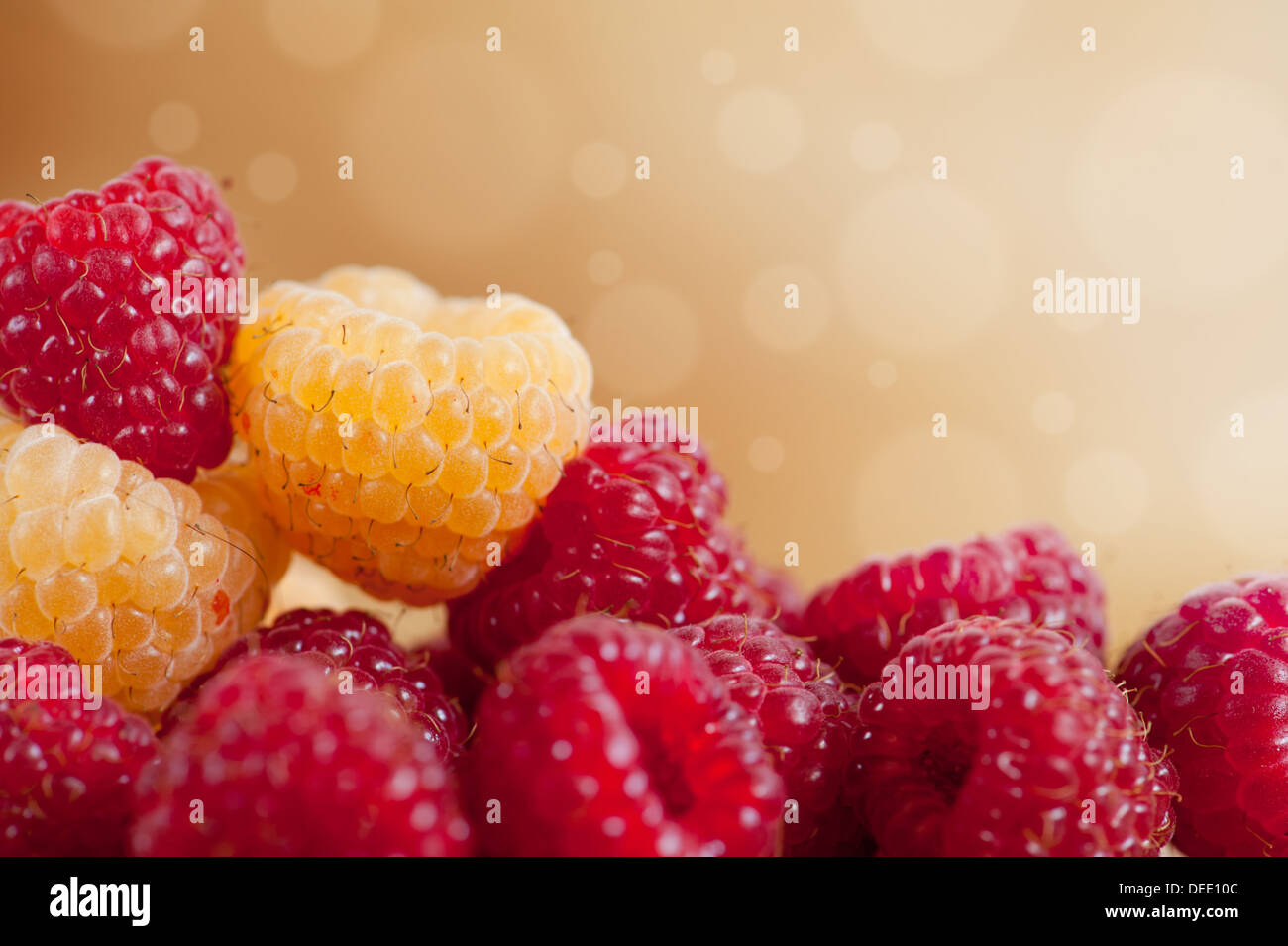raspberry fruits in pile with circles bokeh Stock Photo - Alamy