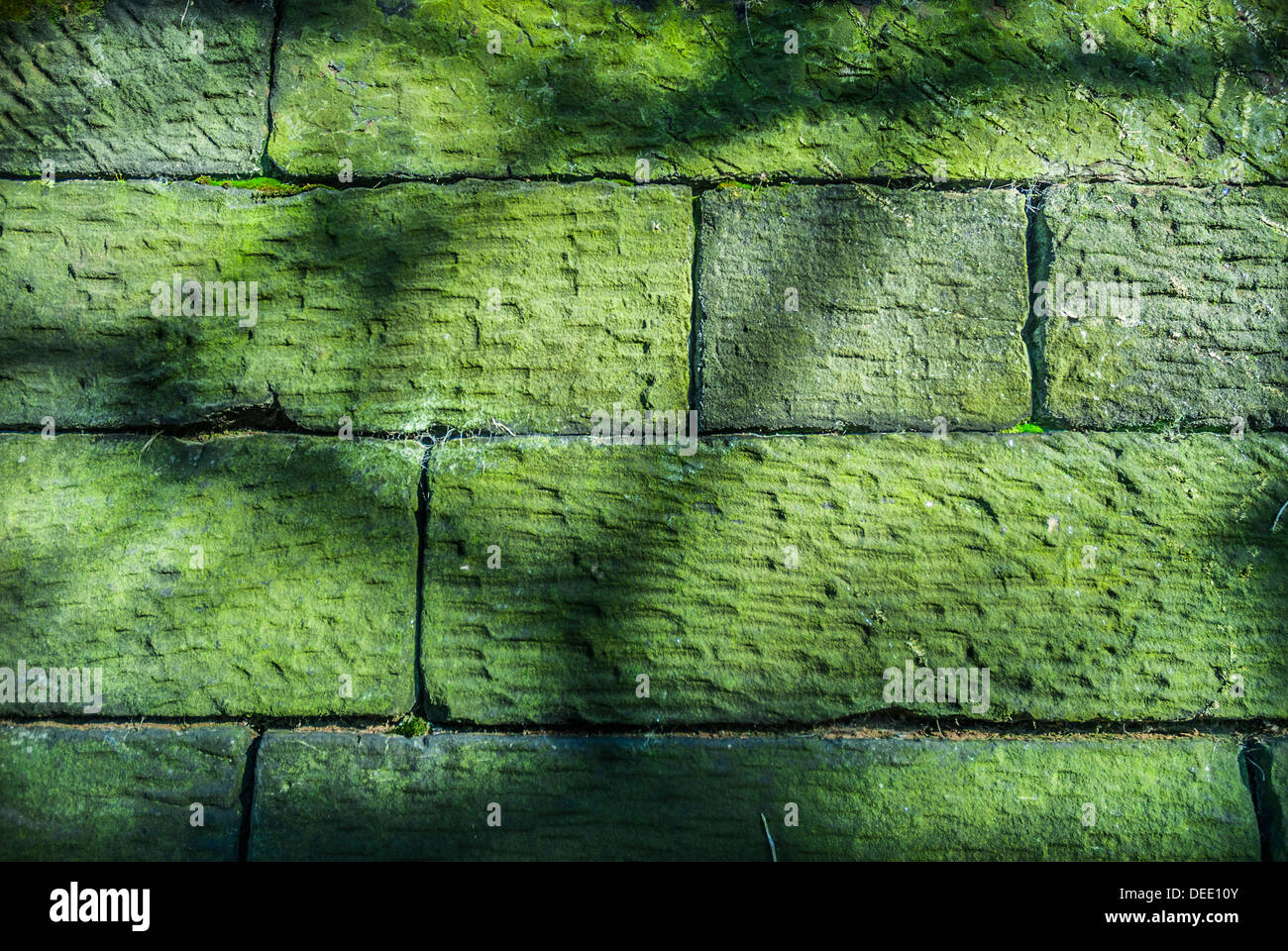 Spooky stone wall with shadows cast by a tree. Ideal for a Halloween ...