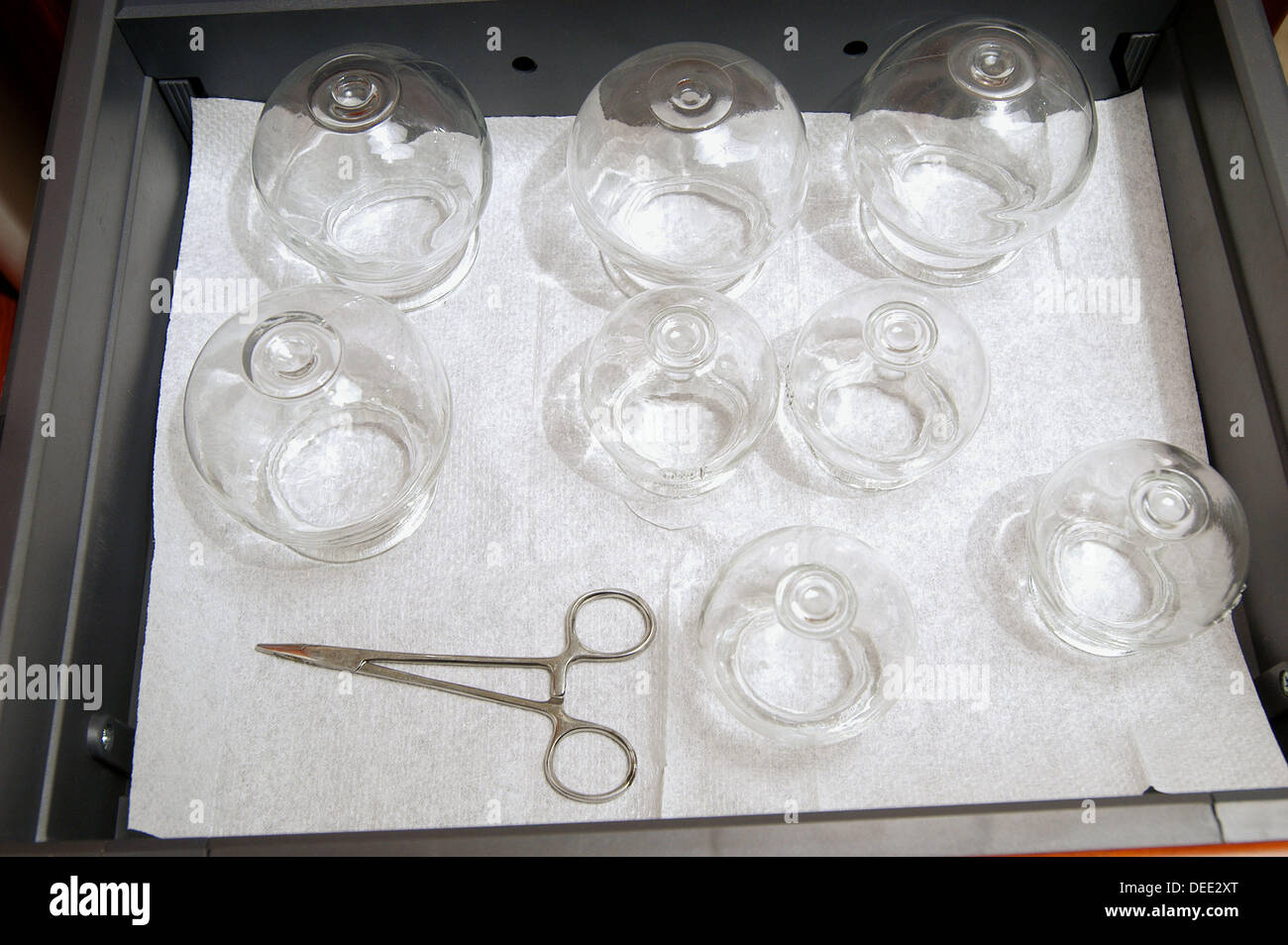 Cupping tray hi-res stock photography and images - Alamy