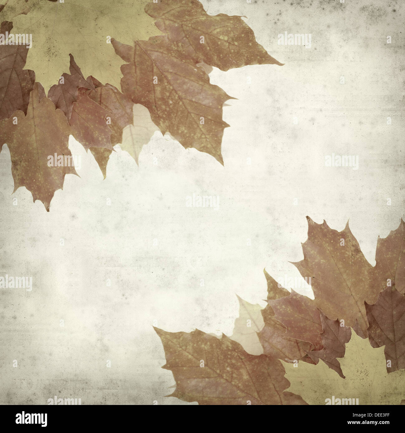 textured old paper background with autumnal maple leaves Stock Photo ...