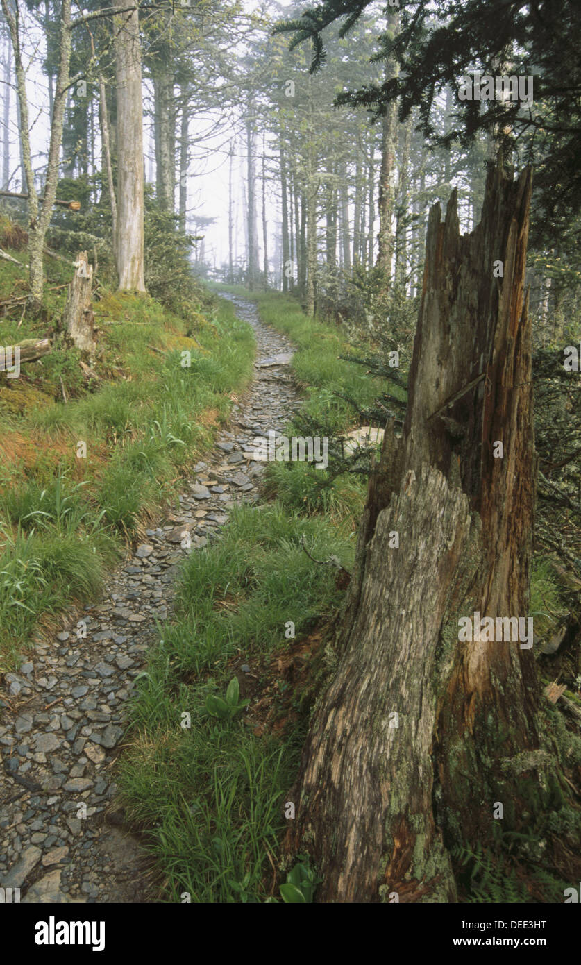 Mount le conte hi-res stock photography and images - Alamy