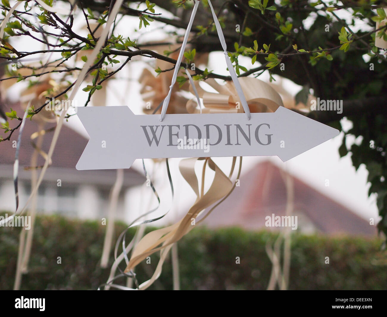An arrow hanging from a tree, pointing in the direction of the wedding ...