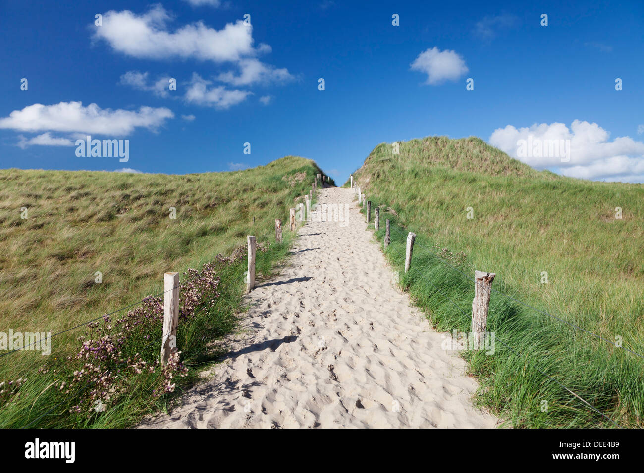 Path through dunes, Sylt Islands, North Frisian Islands, Schleswig ...