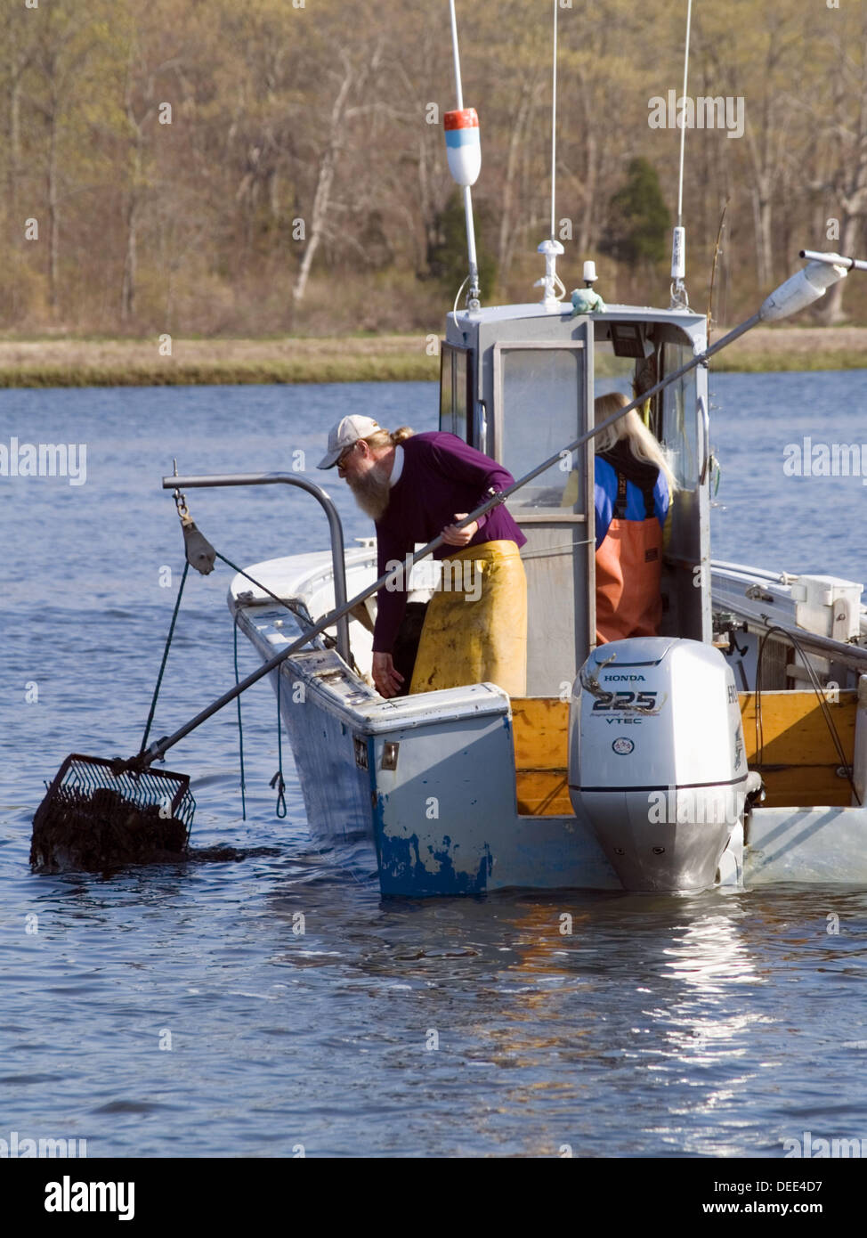 Quahaug hi-res stock photography and images - Alamy