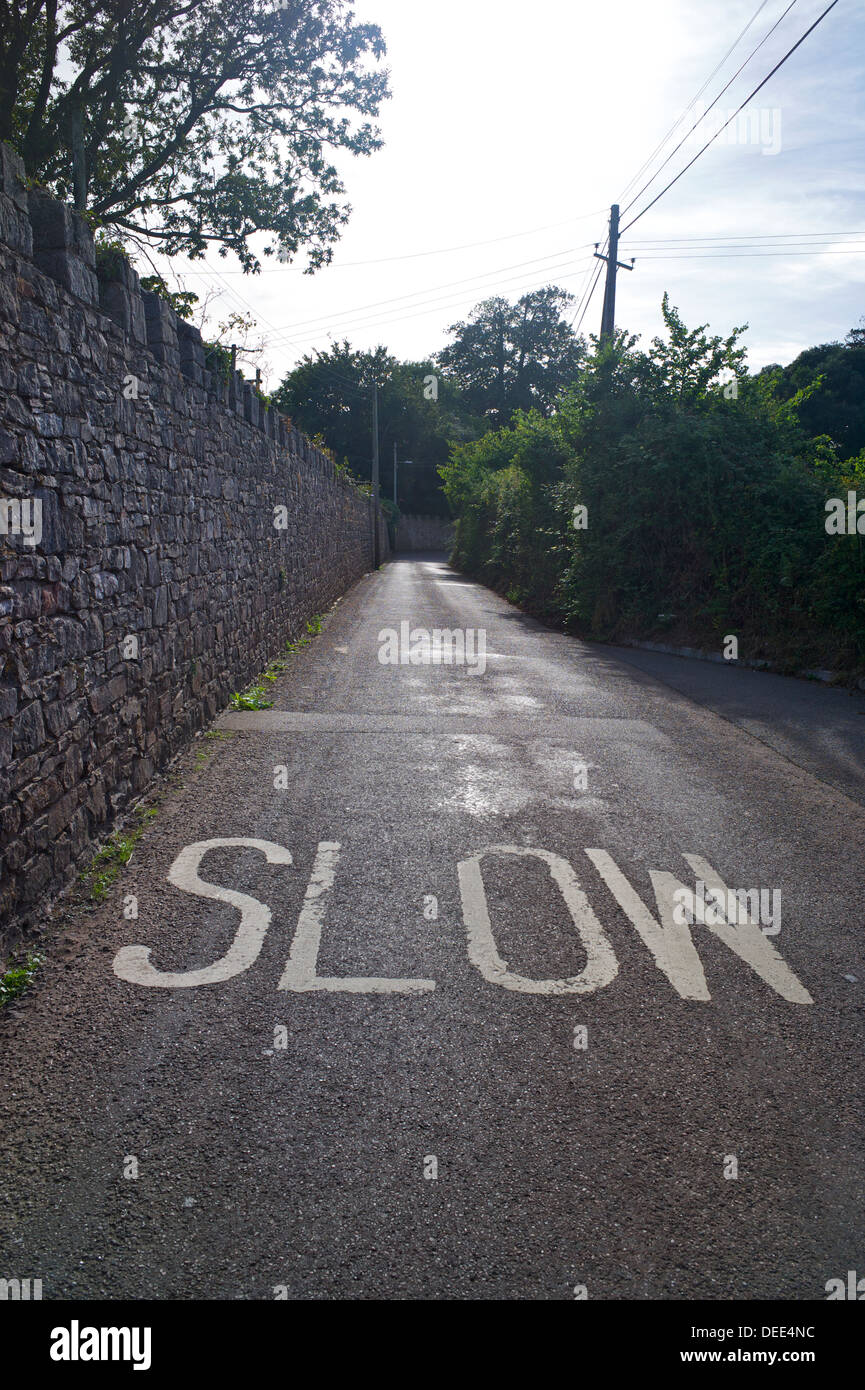 Slow sign in narrow lane, UK Stock Photo - Alamy