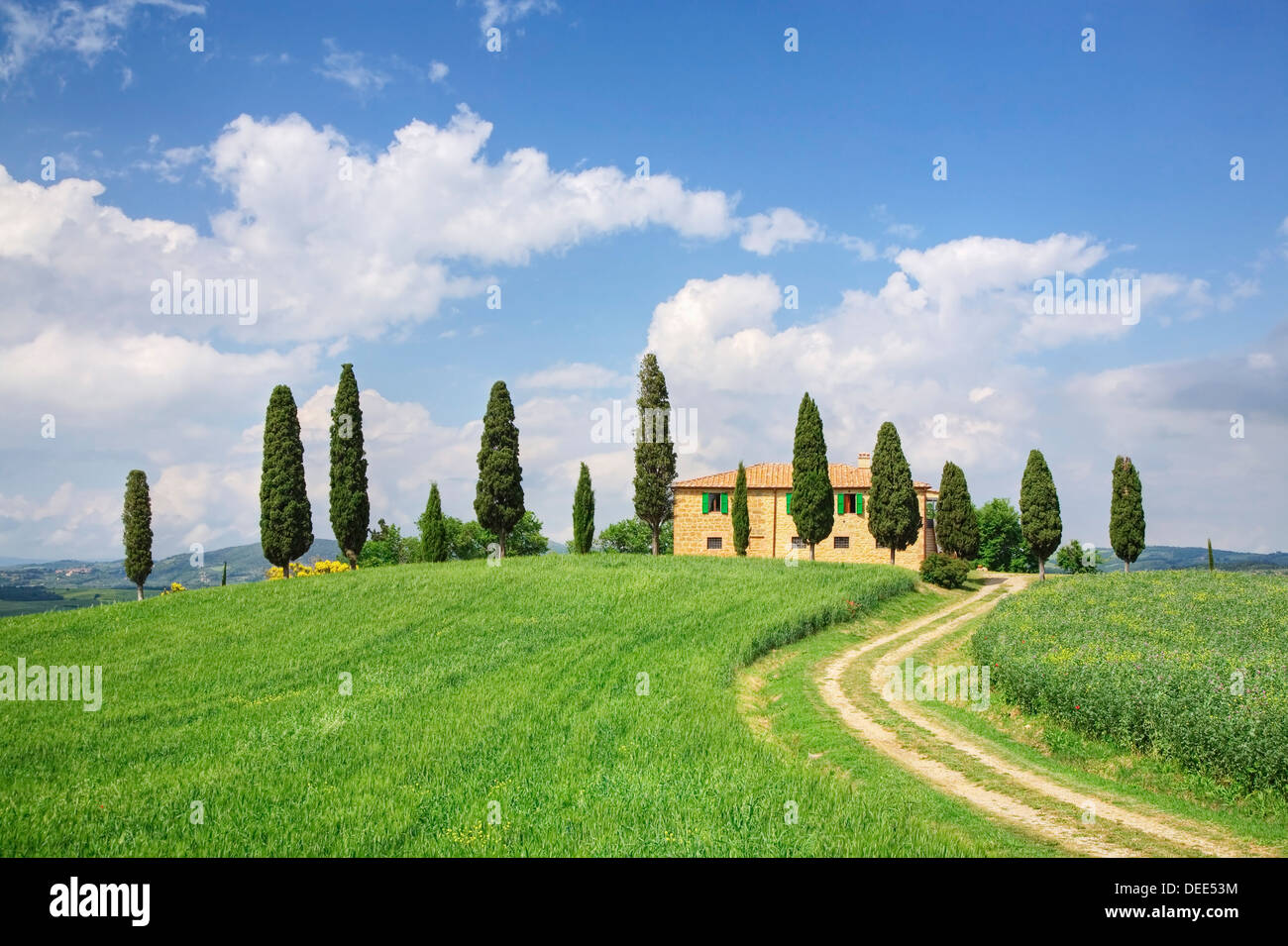 Farm house with cypress tree, Pienza, Val d'Orcia, UNESCO World ...