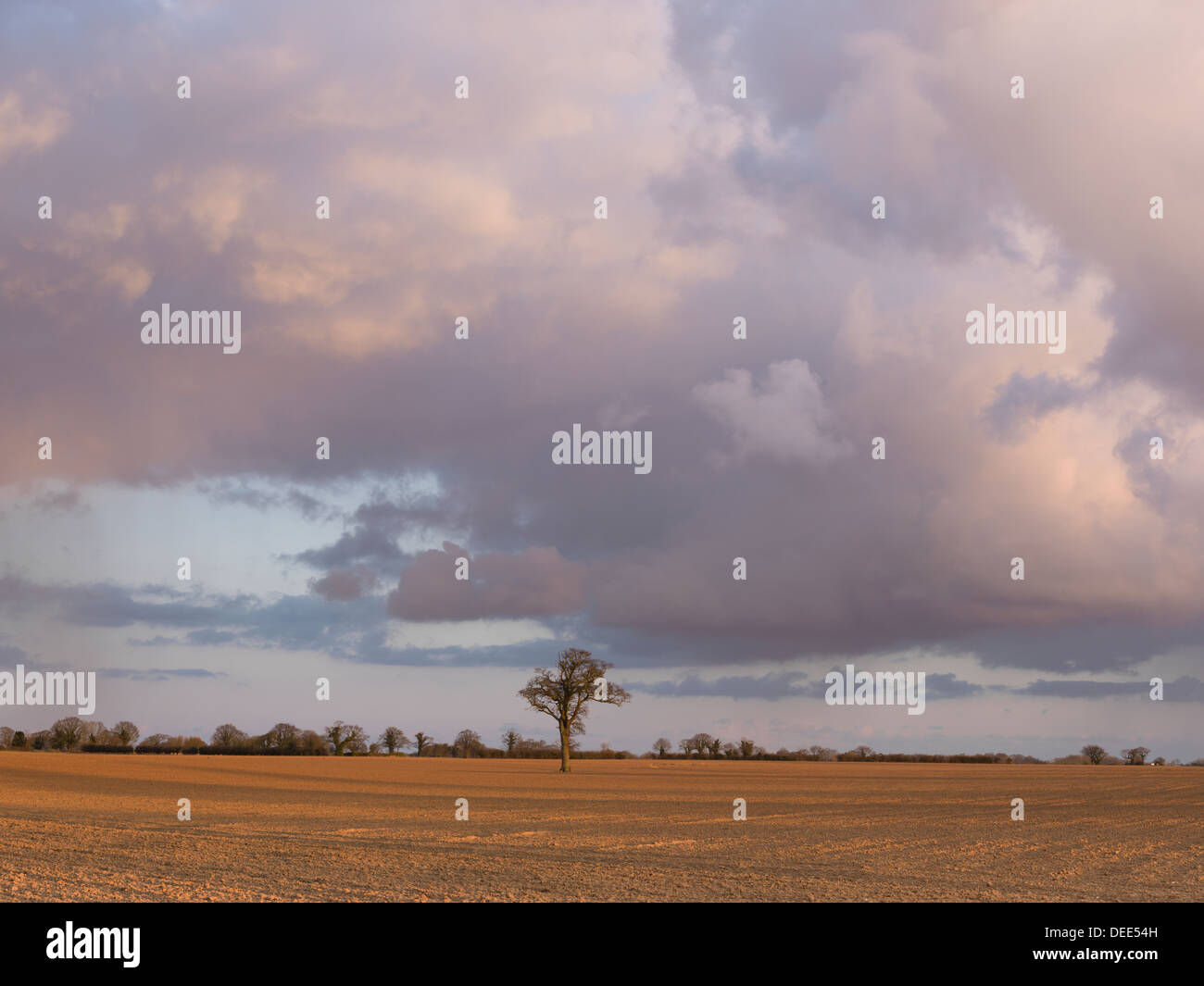 Dilham High Resolution Stock Photography and Images - Alamy