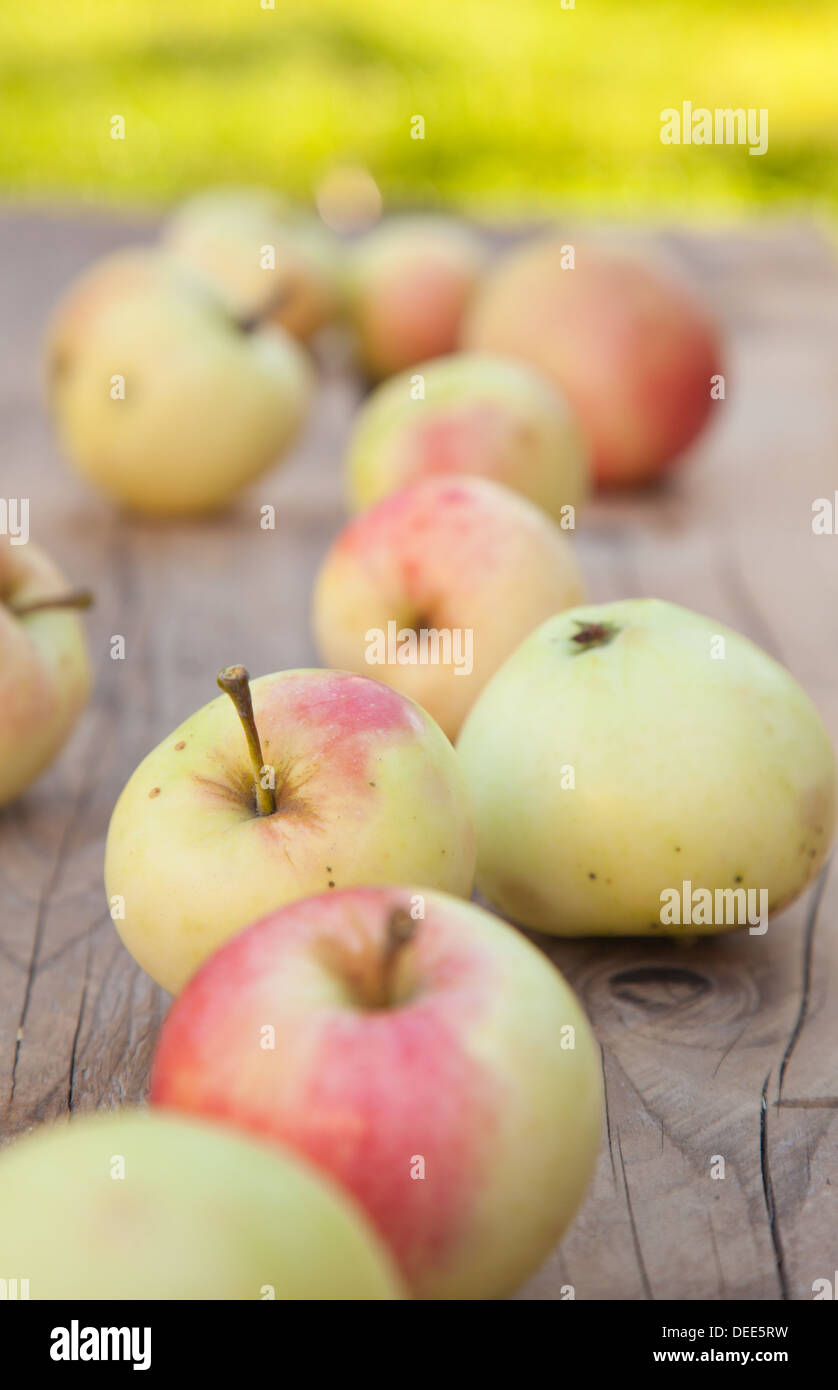 autumn - ripe apples of old variety on rough wooden surface Stock Photo ...