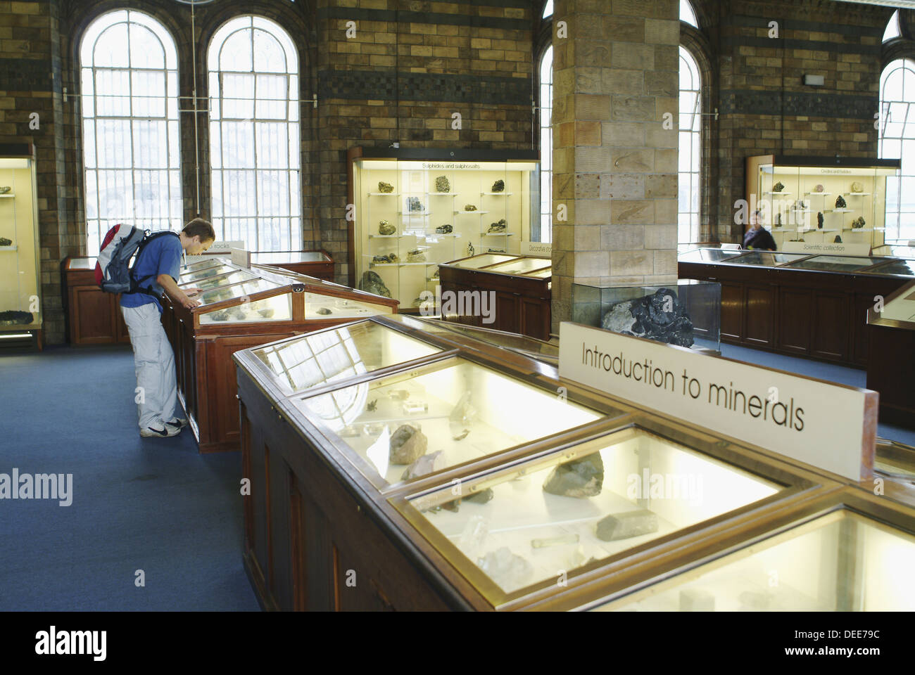 Natural curiosity museum hi-res stock photography and images - Alamy