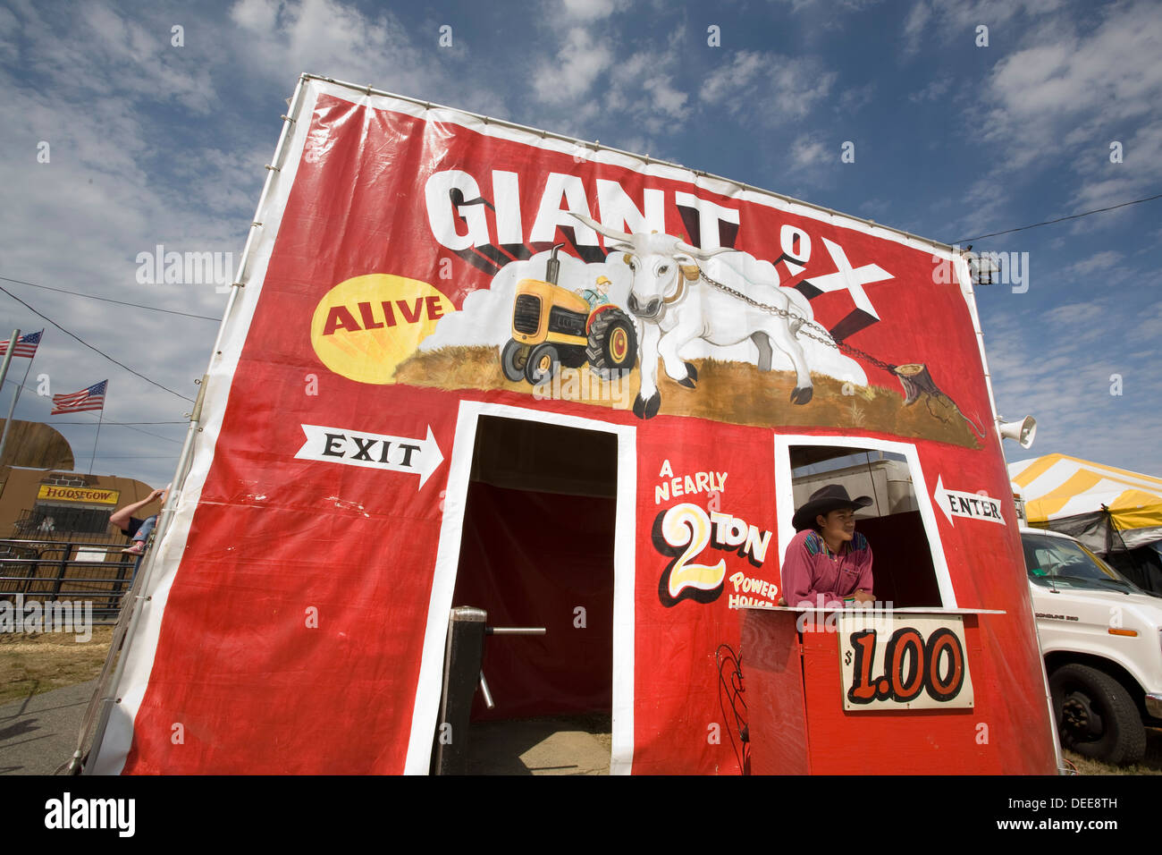 Giant OX at Marshfield Fair, Marshfield, MA Stock Photo - Alamy