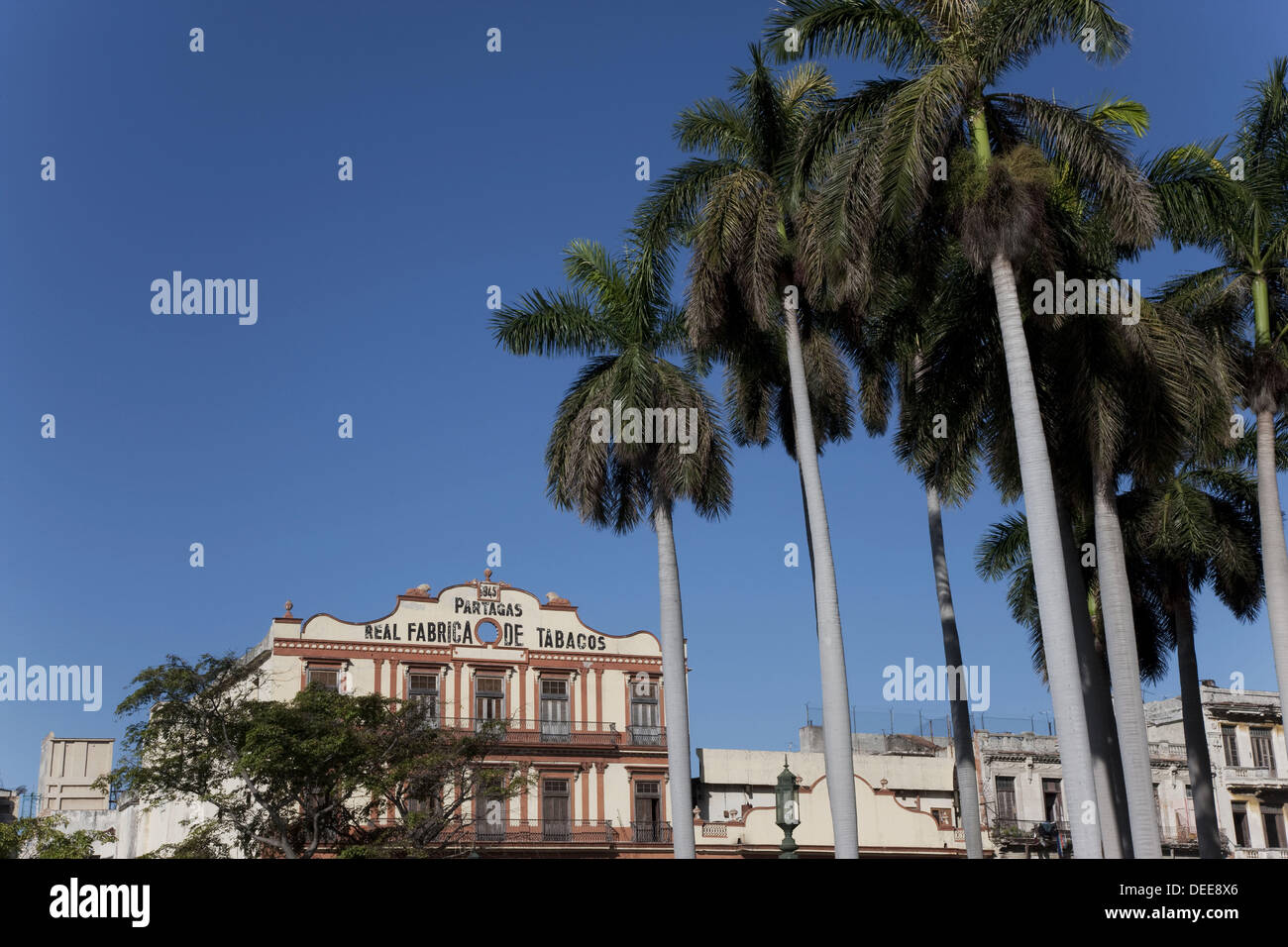 Partagas cigars factory hi-res stock photography and images - Alamy