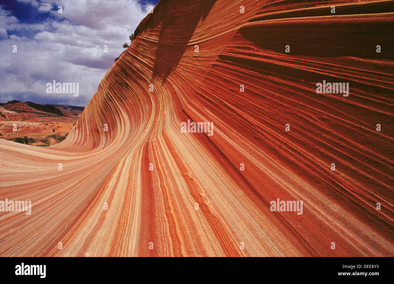Utah border hi-res stock photography and images - Alamy