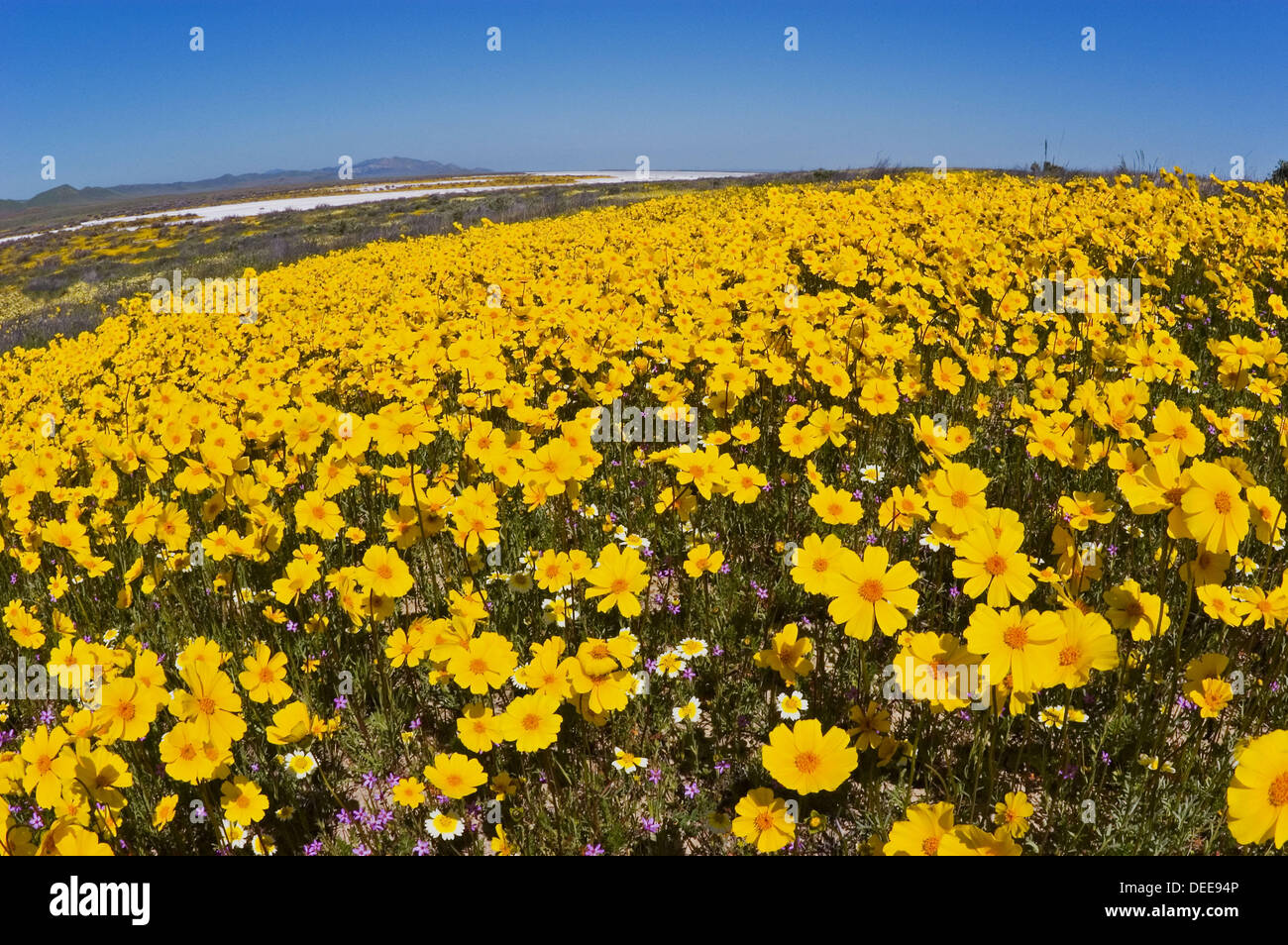 Goldfields Region High Resolution Stock Photography and Images - Alamy