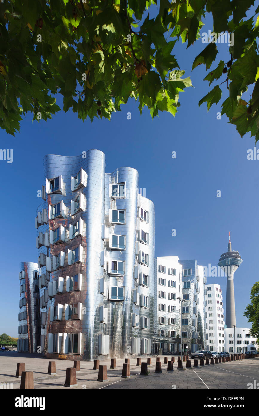 Neuer Zollhof, designed by Frank Gehry, and Rheinturm tower, Media ...