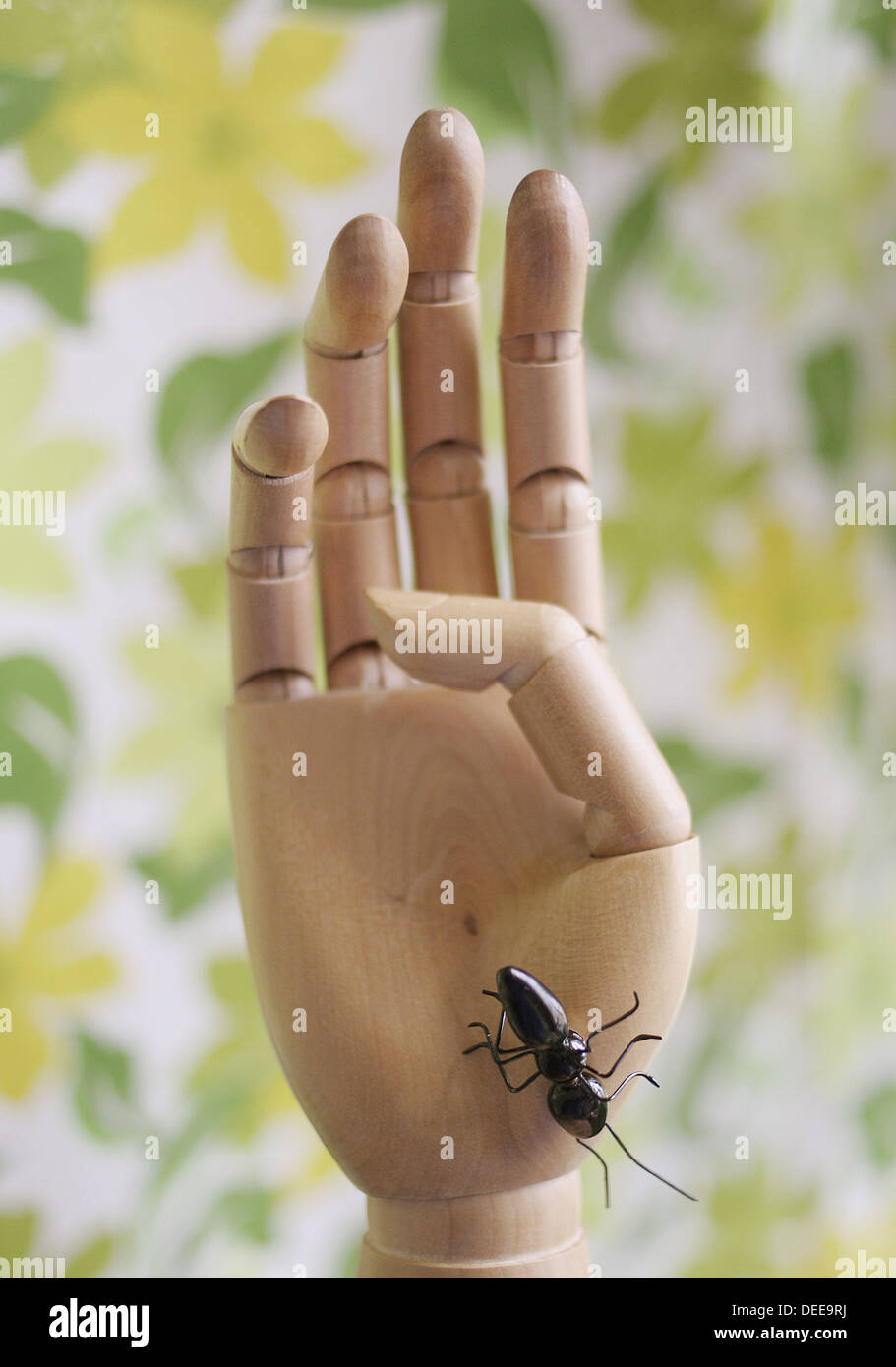 Dummy insect hi-res stock photography and images - Alamy