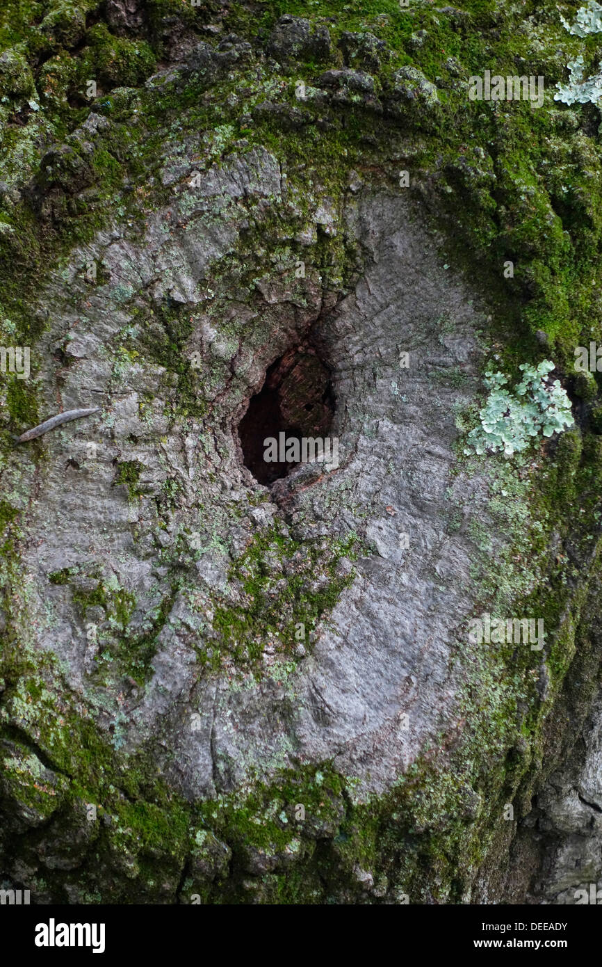 Knot formed hi-res stock photography and images - Alamy