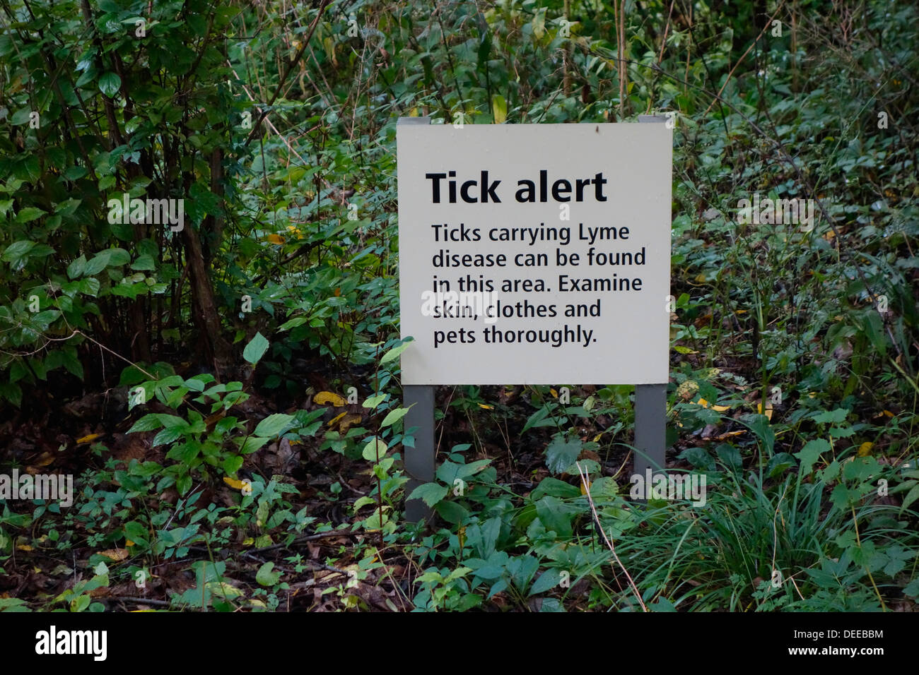 tick alert sign Stock Photo - Alamy
