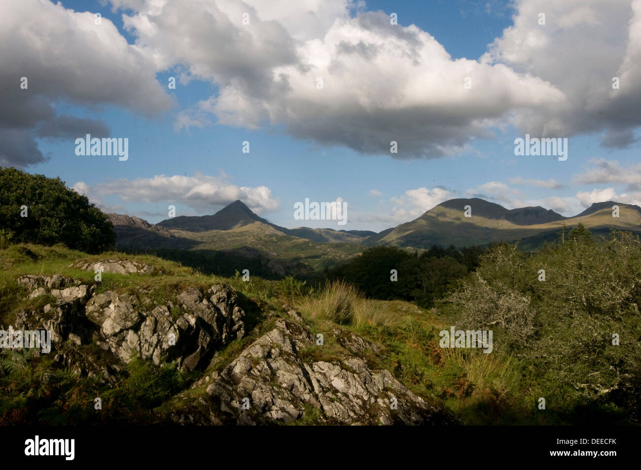 The shadows of knight hi-res stock photography and images - Alamy