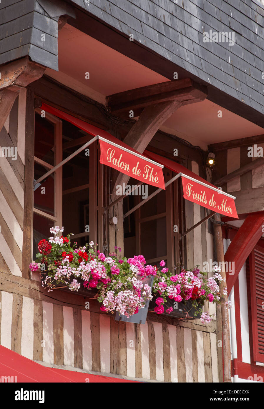 Canopy of flowers hi-res stock photography and images - Alamy