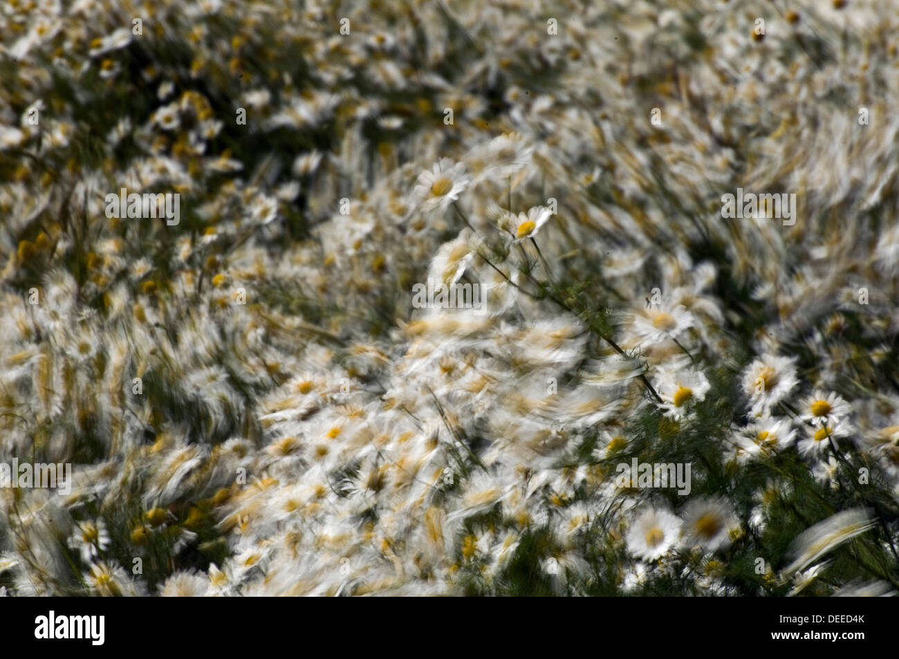 Wind movement hi-res stock photography and images - Alamy