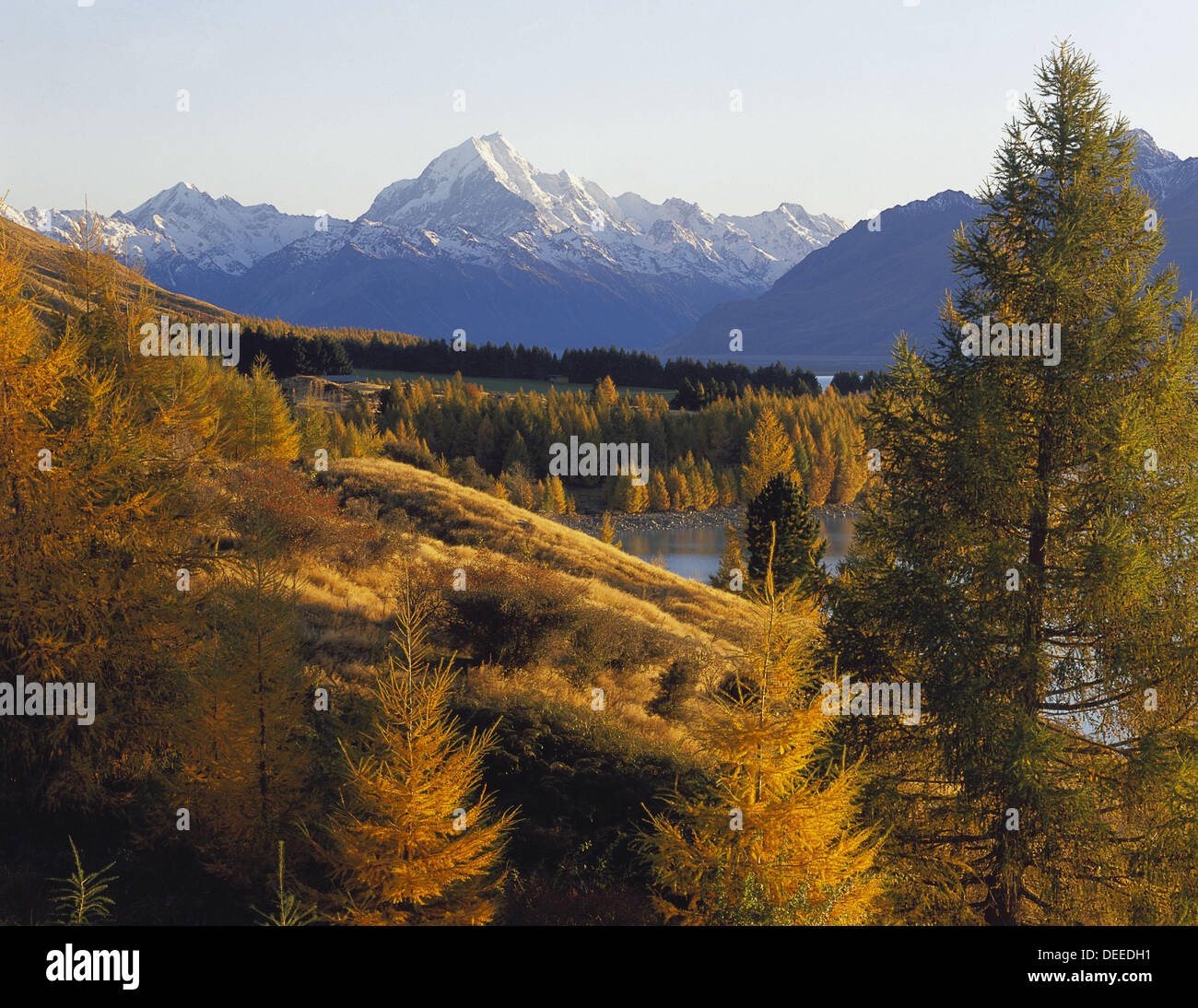 Douglas peak new zealand hi-res stock photography and images - Alamy